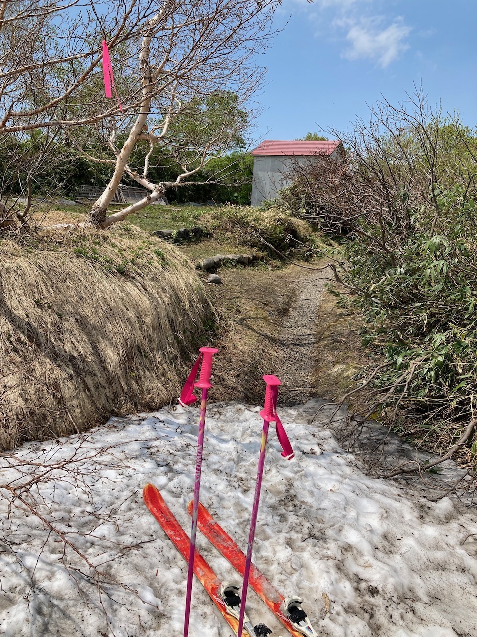 2025年6月8日 皆勤賞／鳥海山・祓川: みちのく粉雪日記
